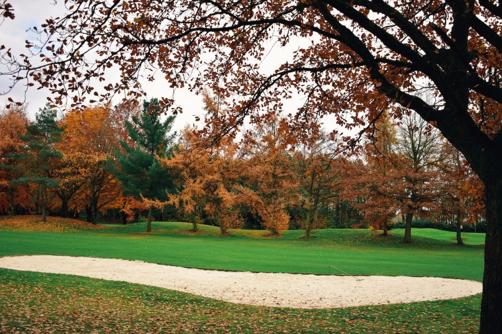 Unforgettable Golfing Experiences: Washington's Must-Play Courses