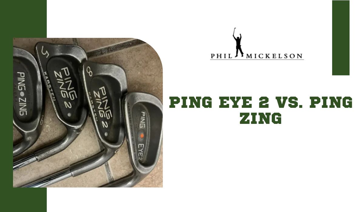 Ping Eye 2 vs. Ping Zing