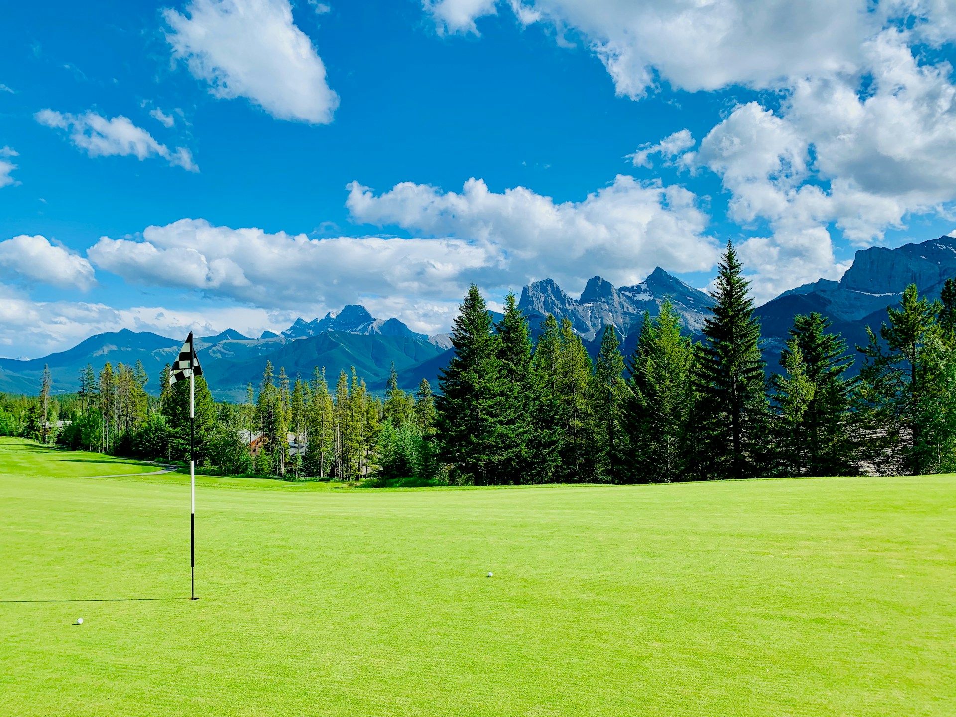Most Common Pests on Golf Courses and How to Deal With Them