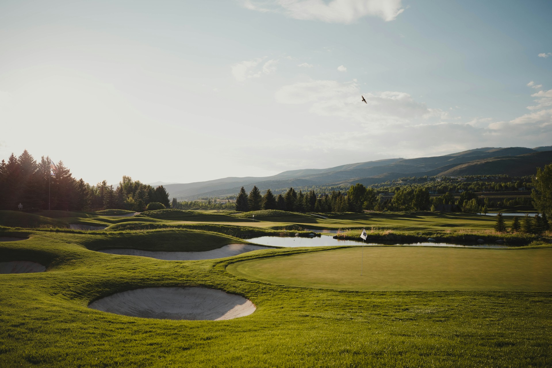 Most Common Pests on Golf Courses and How to Deal With Them